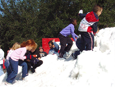 Collier County Parks Special Events, Events Calendar | Naples Events